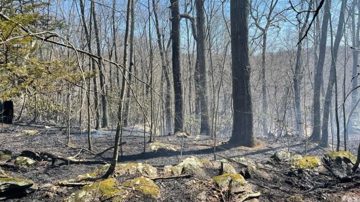 Crews Put Out 2-Acre Brush Fire in Southbury – NBC Connecticut