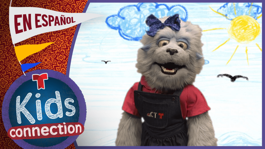 Kids Connection – NBC Connecticut