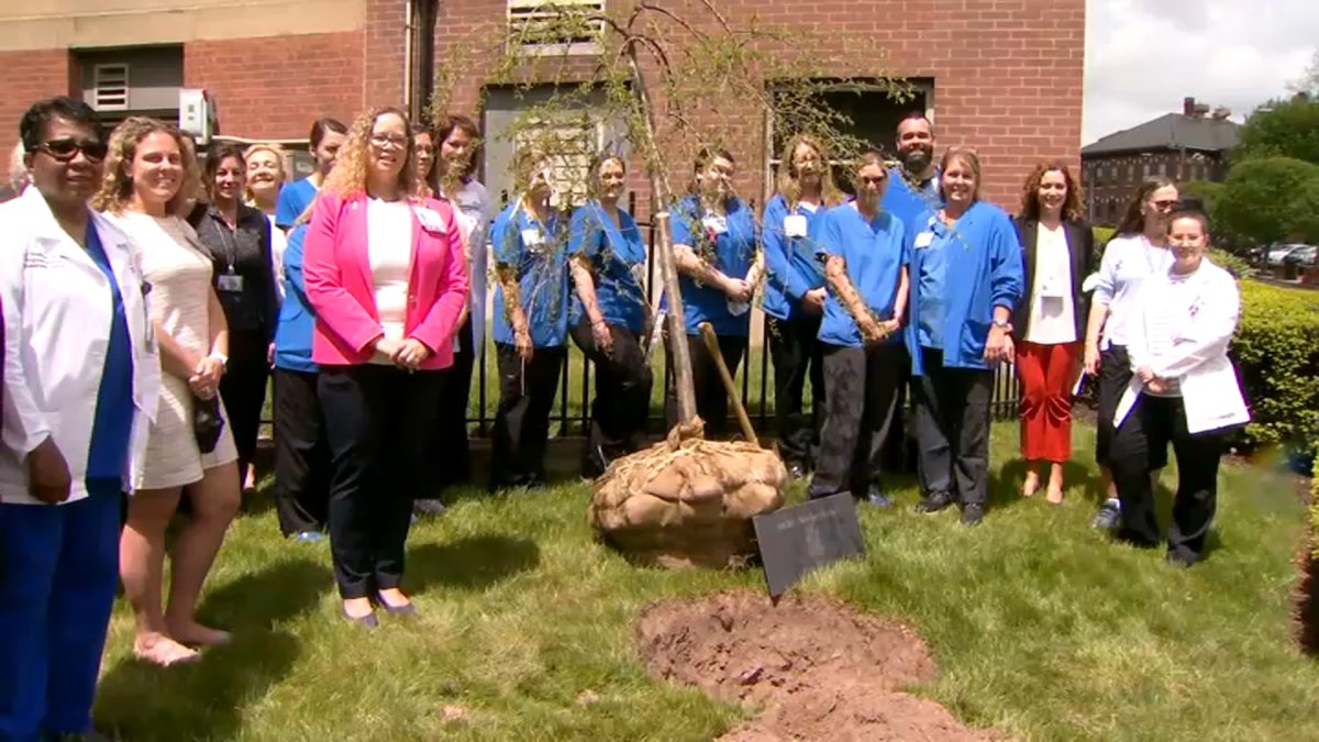 St. Mary’s Hospital Holds Tree Planting Ceremony to Honor Frontline ...