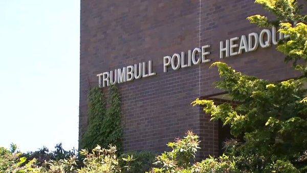 Man dies after tree-cutting accident in Trumbull – NBC Connecticut