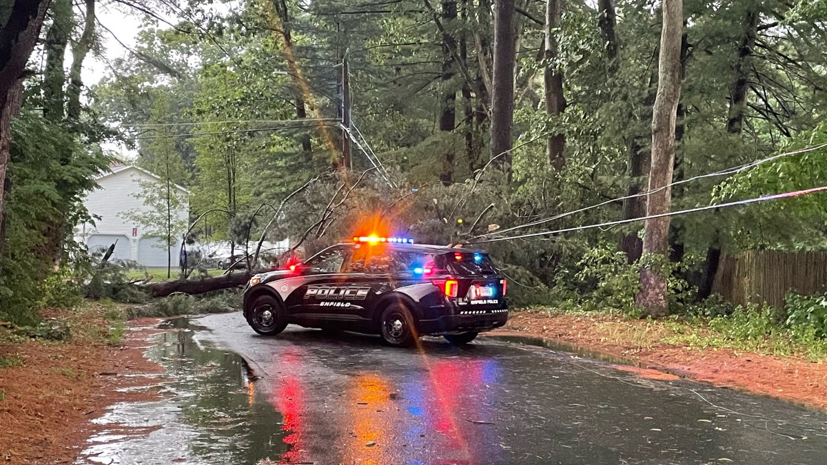 Clean-Up Continues After Storms Leave Scattered Damage in Northern ...