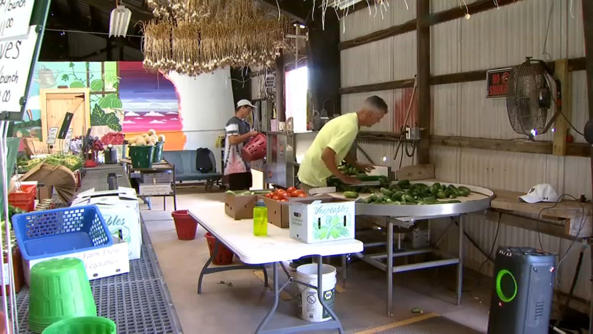 Connecticut Farm Stands Adjust to Rising Inflation Costs – NBC Connecticut