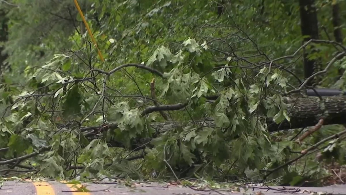 Strong Storms Take Down Trees, Knock Out Power Across Connecticut – NBC ...