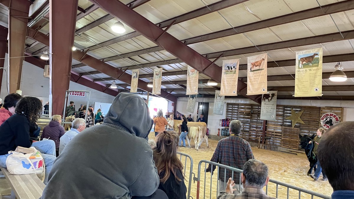 Durham Fair Brings Classic Farm Experience to Central Connecticut – NBC ...