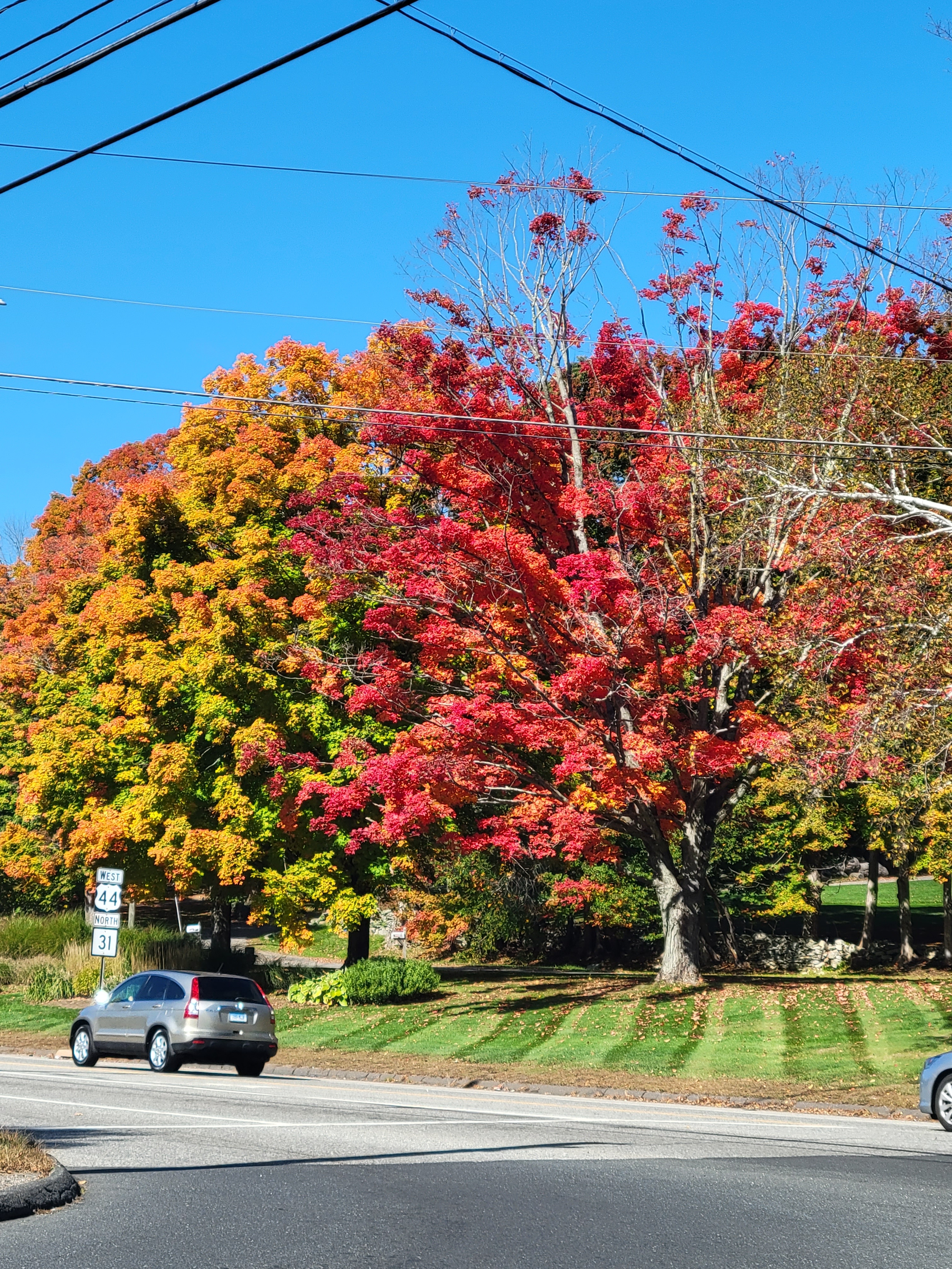 Photos Show Connecticut’s Gorgeous Fall Foliage – NBC Connecticut