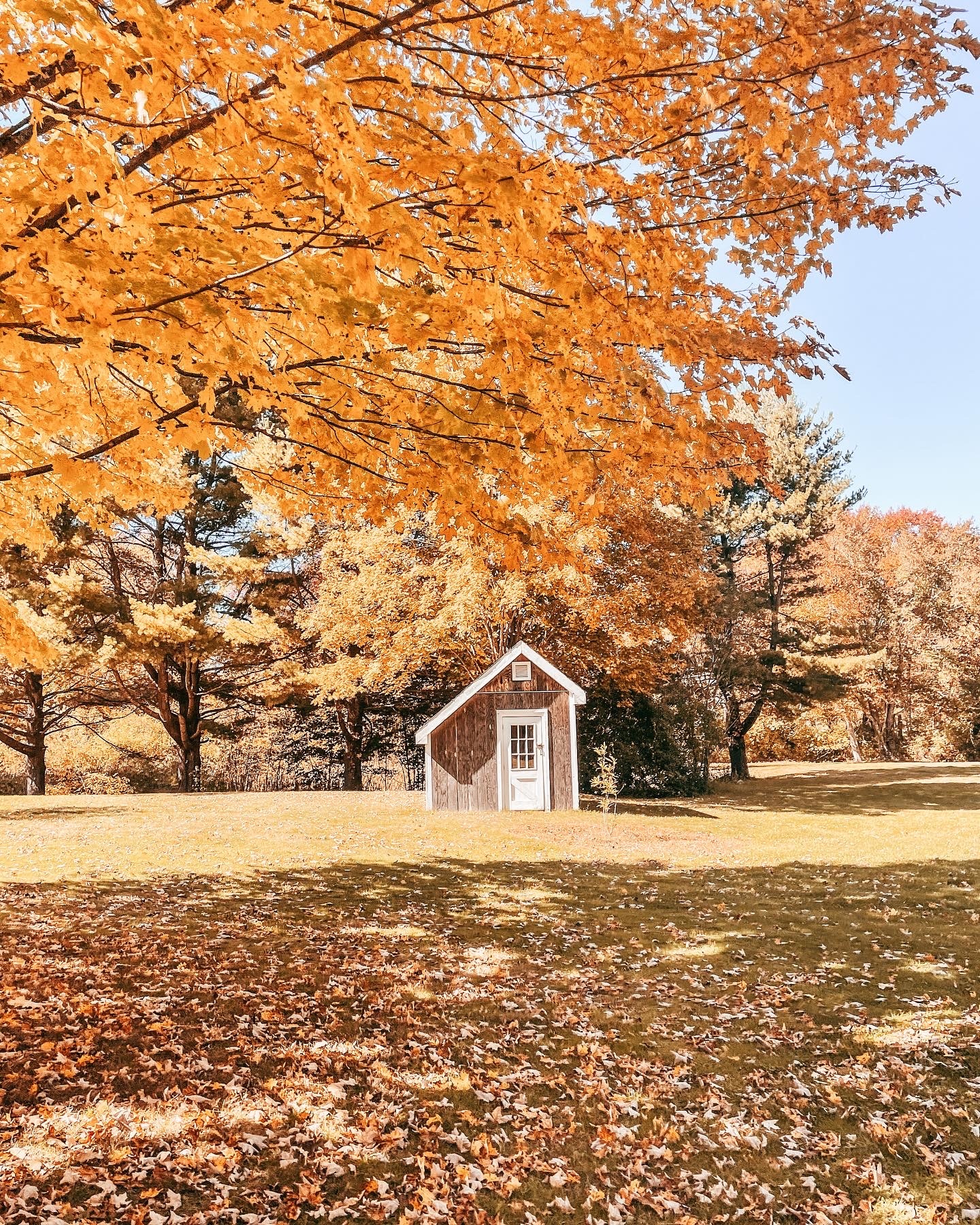 Photos Show Connecticut’s Gorgeous Fall Foliage – NBC Connecticut