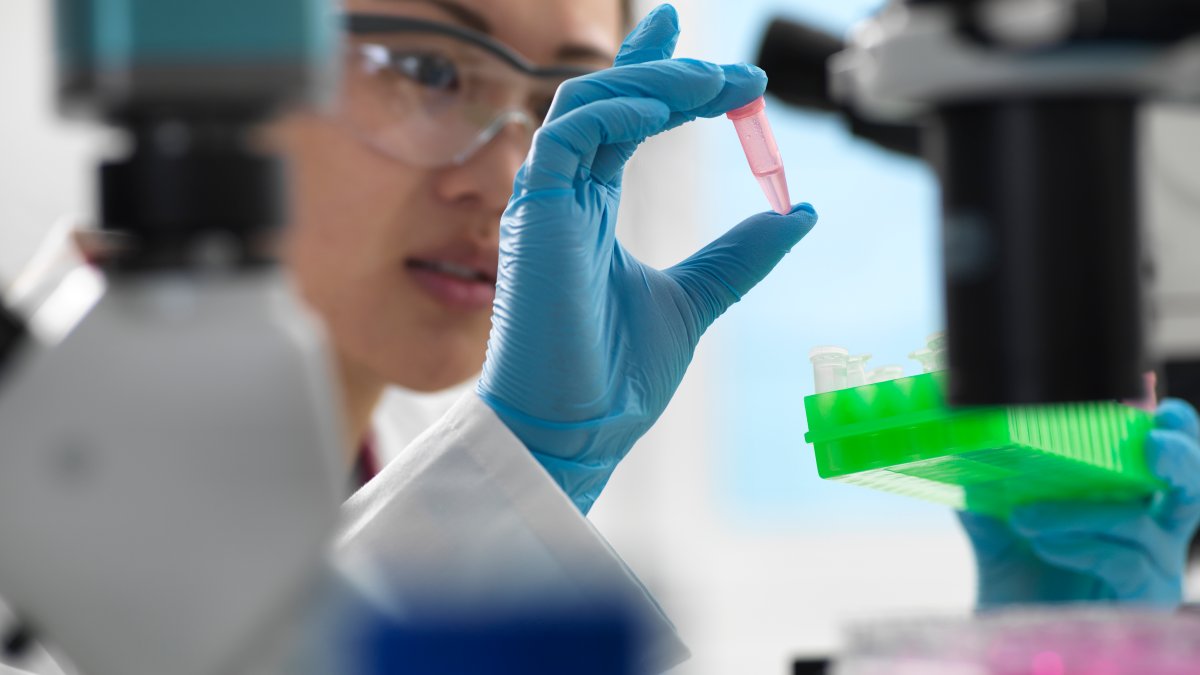 Everything You Need to Know About Genetic Genealogy – NBC Connecticut