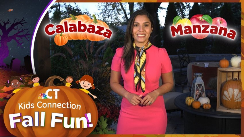 Kids Connection – NBC Connecticut