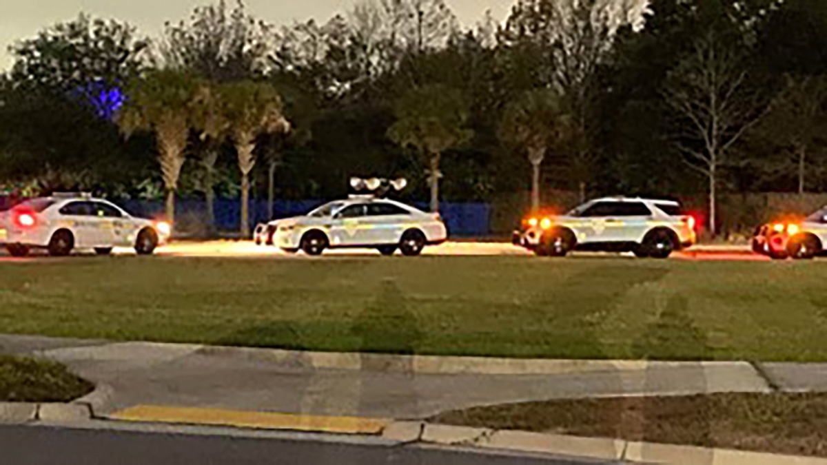 Zookeeper Injured During Bear Attack at Jacksonville Zoo – NBC Connecticut