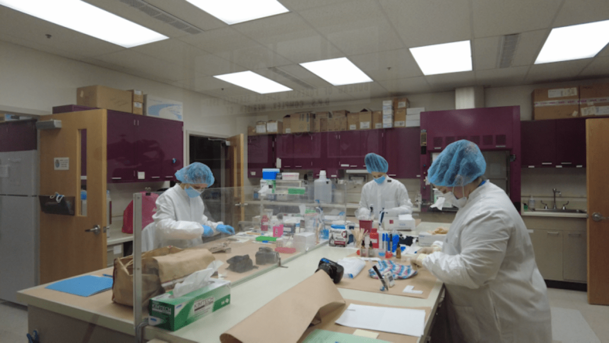 Connecticut Secures Funding for Timely Processing of Sexual Assault ...