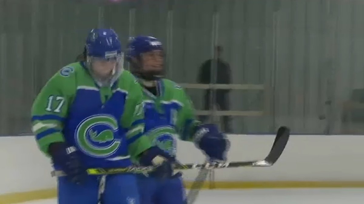Former Quinnipiac Hockey Players Compete at Next Level for Connecticut ...
