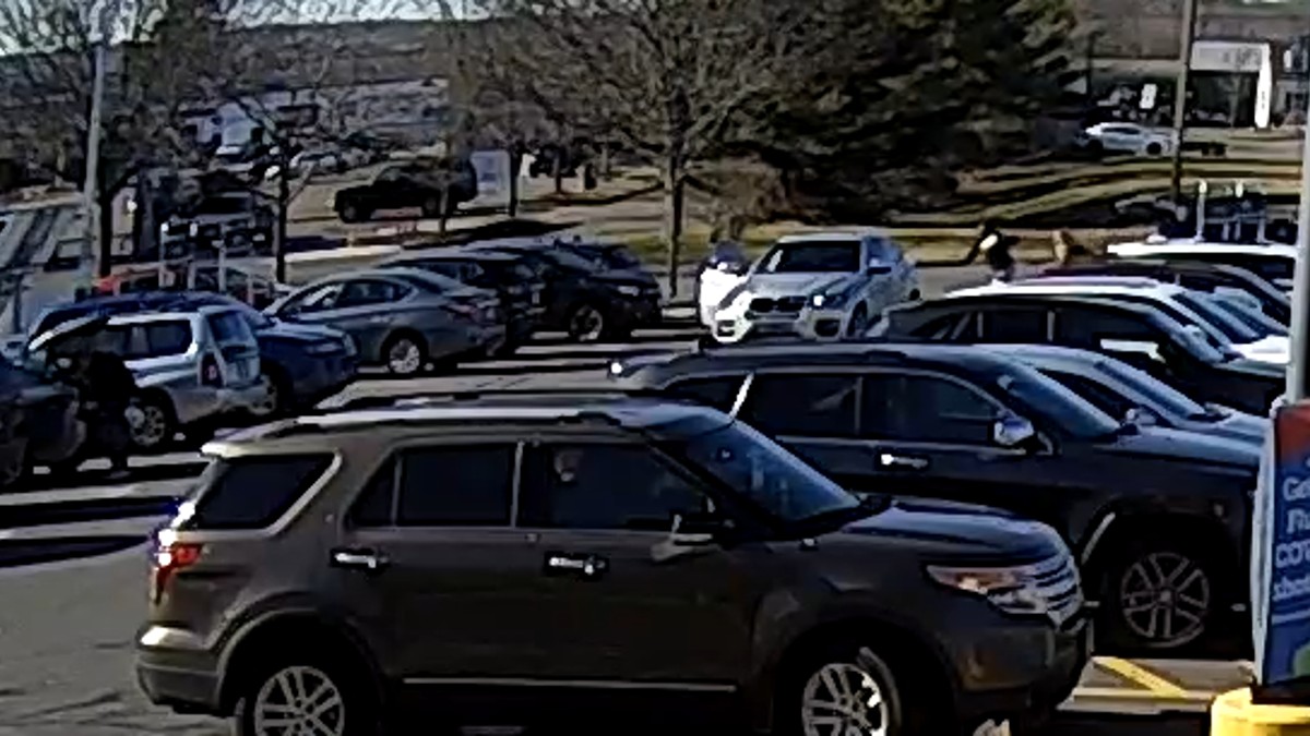 Woman Fights Back After Man Attempts To Steal Her Purse In Wallingford
