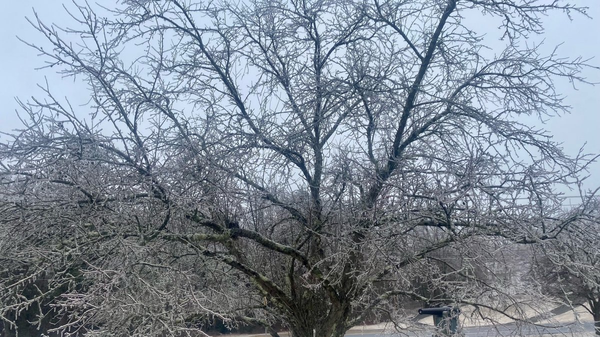 Icy Conditions Possible Overnight With Falling Temps – NBC Connecticut