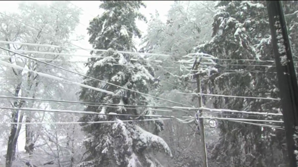 Heavy Snow Weighs Down Trees, Power Lines in Norfolk – NBC Connecticut