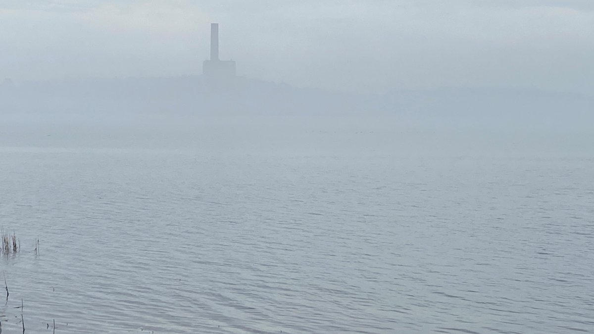 Cloudy, Foggy, Mild Thursday – NBC Connecticut
