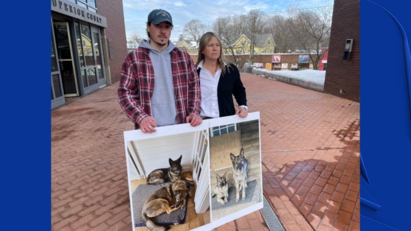 Hunter accused of killing 2 pet dogs in Ridgefield has been sentenced ...