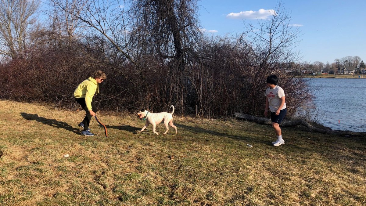 First Full Spring Day Doesn’t Disappoint – NBC Connecticut