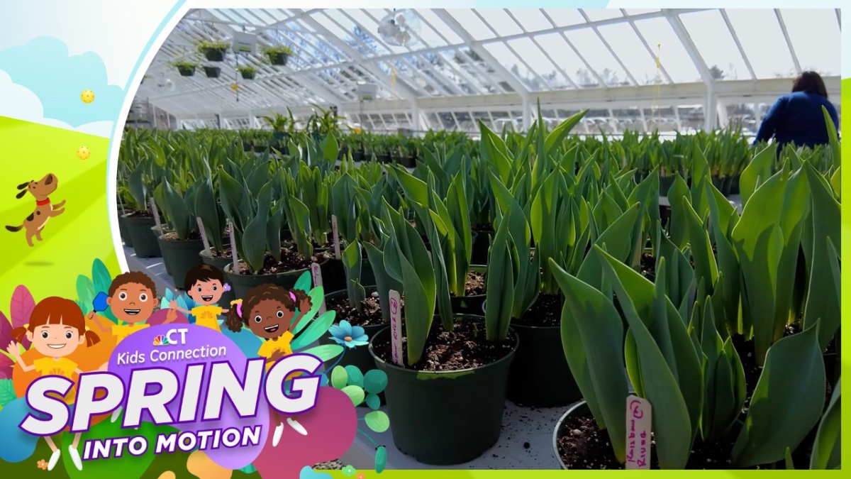 Kids Connection ‘Spring Into Motion’ – Growing Flowers at Elizabeth ...