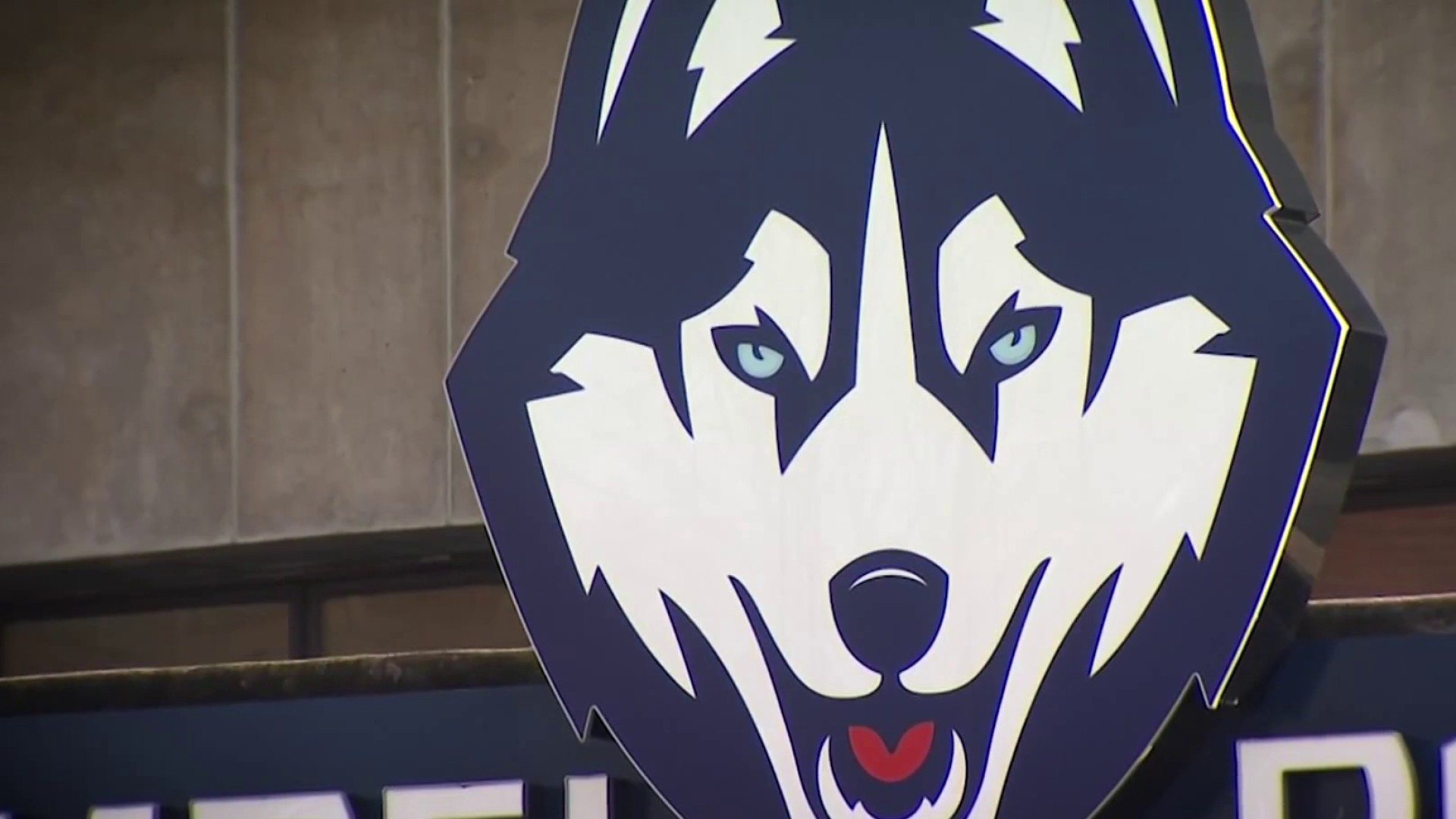 Uconn Huskies Desktop Wallpaper