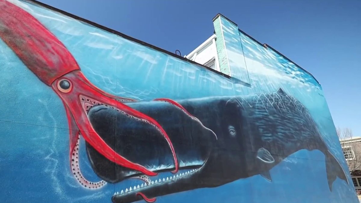 Artist Returns to New London to Paint New Mural of Life-Size Whales, 30 ...