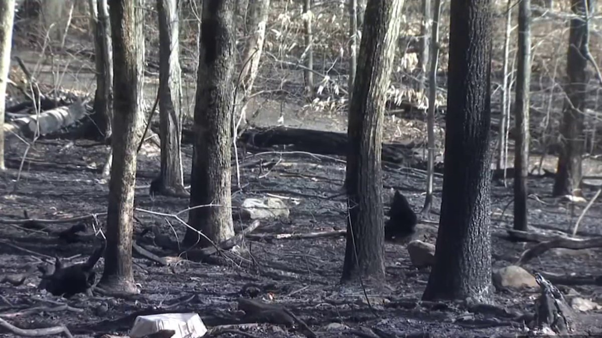 Fire Danger Is High Across Connecticut – NBC Connecticut