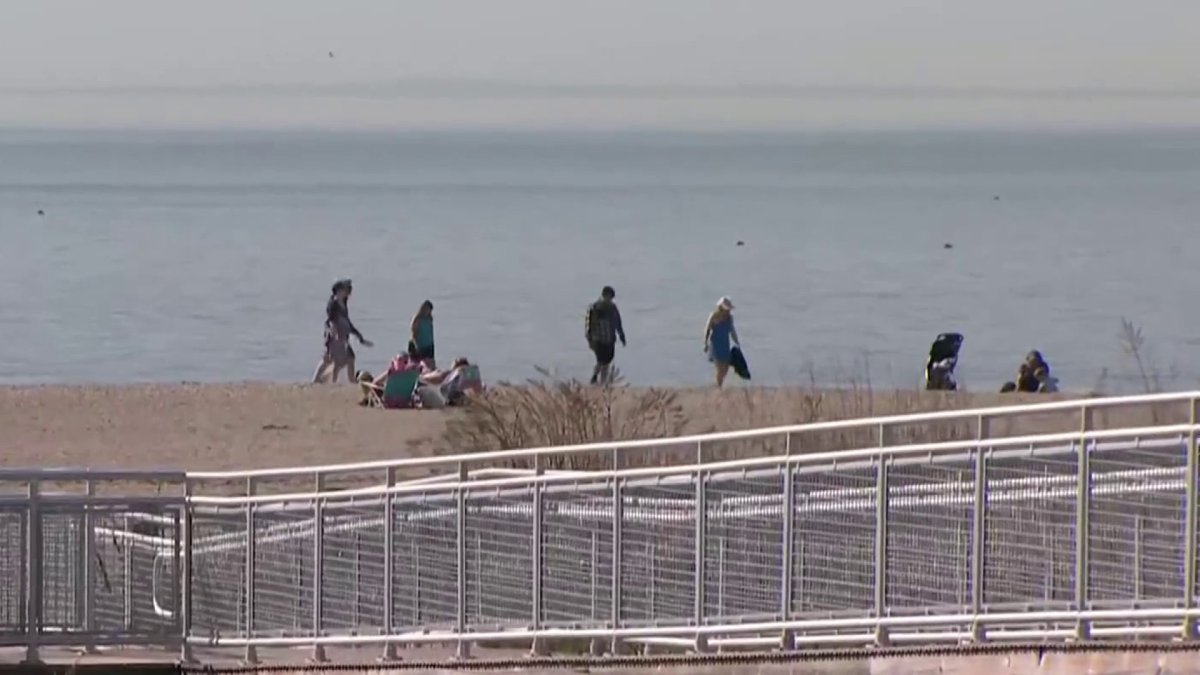 What to Know About Becoming a Lifeguard at State Beaches Or Parks – NBC ...