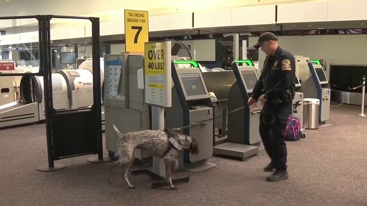 K9 Units Work Around the Clock at Bradley Airport – NBC Connecticut