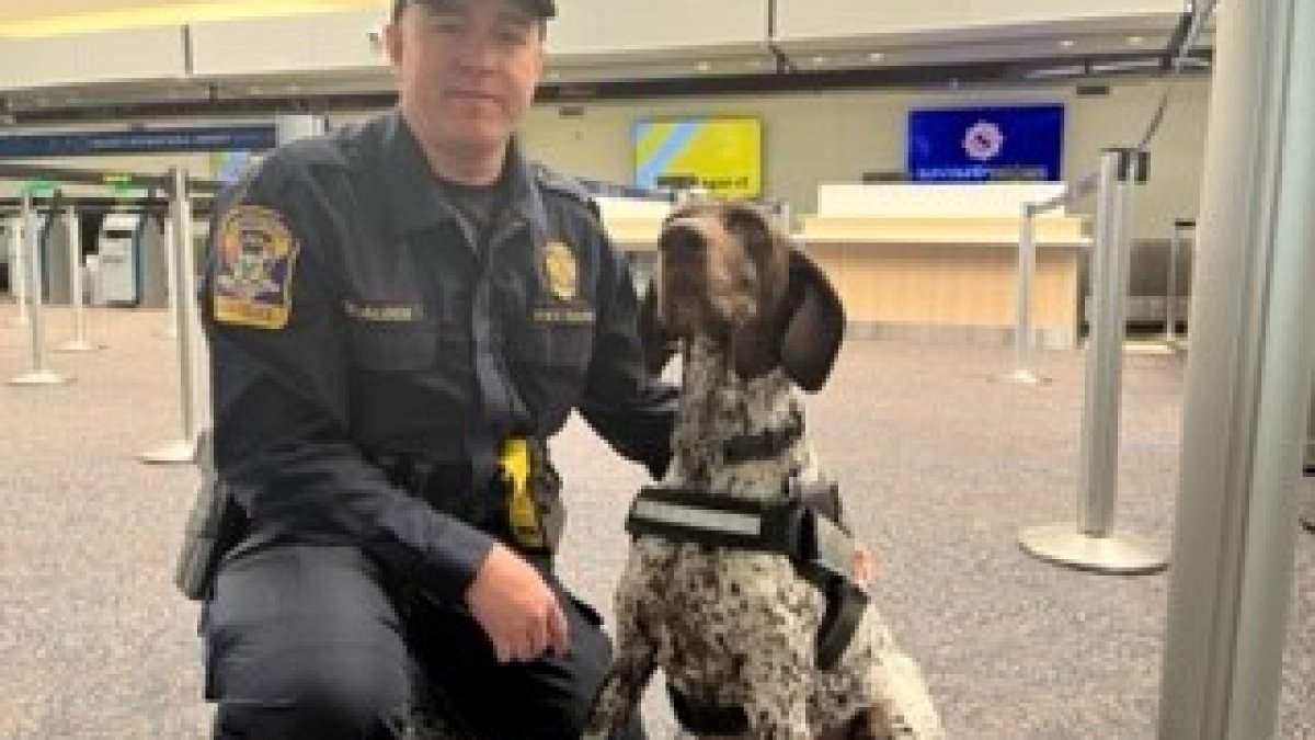 State Troopers Demonstrate TSA K9s Detecting Danger at Bradley Airport ...