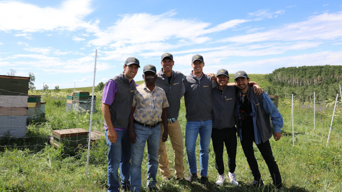 Hemp With a Cause Aims to Offer Relaxing Honey Product, Fund Beekeeper ...