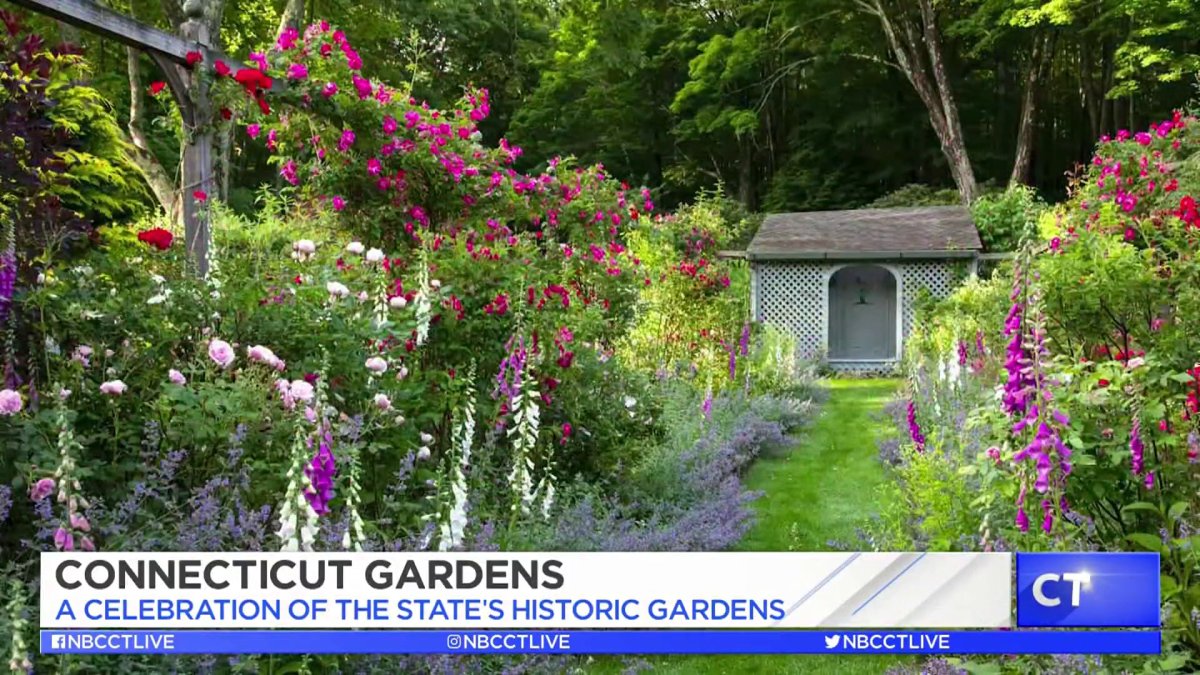 CT LIVE!: Celebrating Connecticut’s Beautiful Gardens – NBC Connecticut