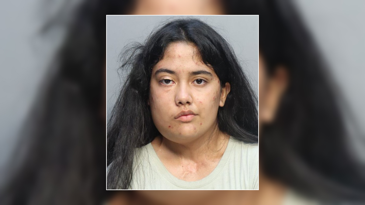 Miami mother tried to hire hitman on parody website to kill 3-year-old ...