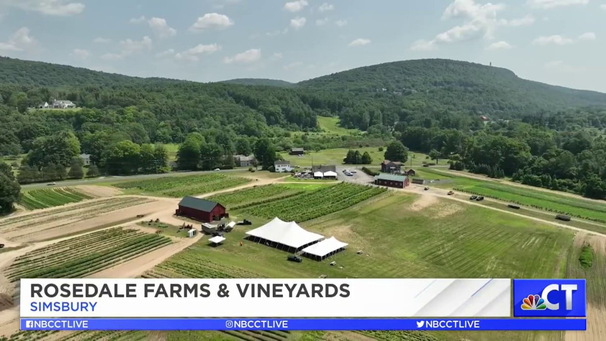 CT LIVE!: Rosedale Farms & Vineyards – NBC Connecticut