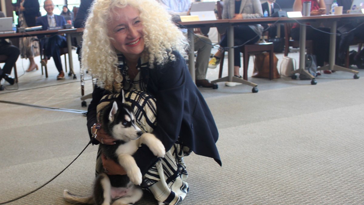 Hackers claim responsibility for sending hoax email claiming UConn’s ...