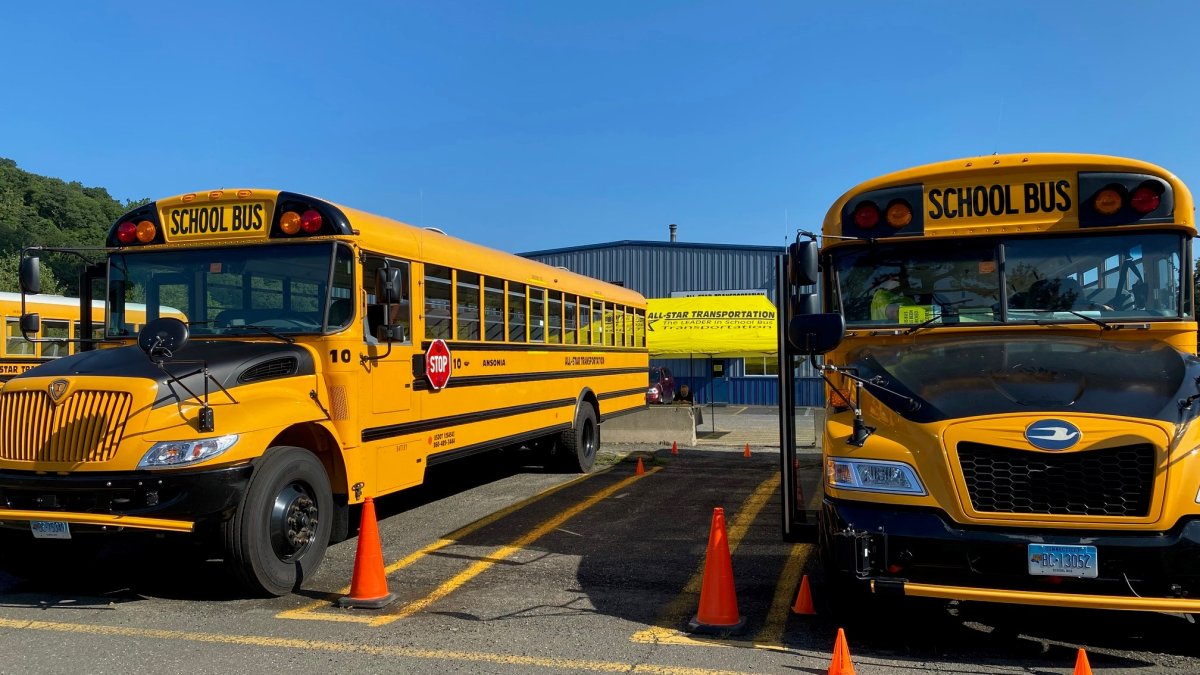 All-Star Transportation seeks to hire school bus drivers – NBC Connecticut