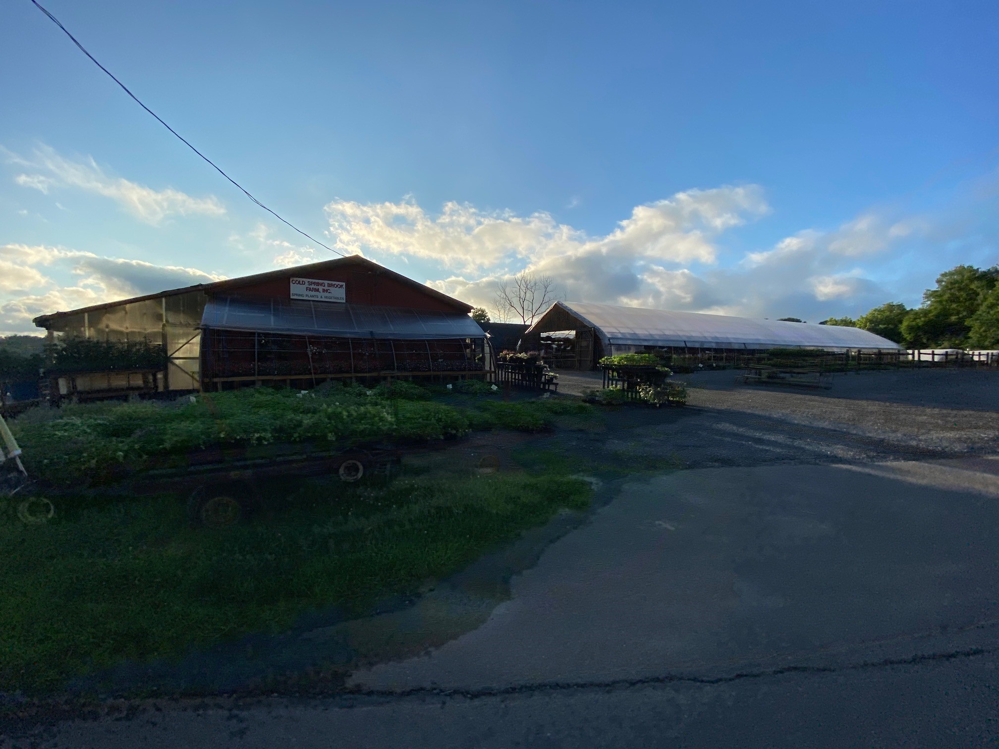 Torrential rain floods fields and damages roads at Berlin farm – NBC ...