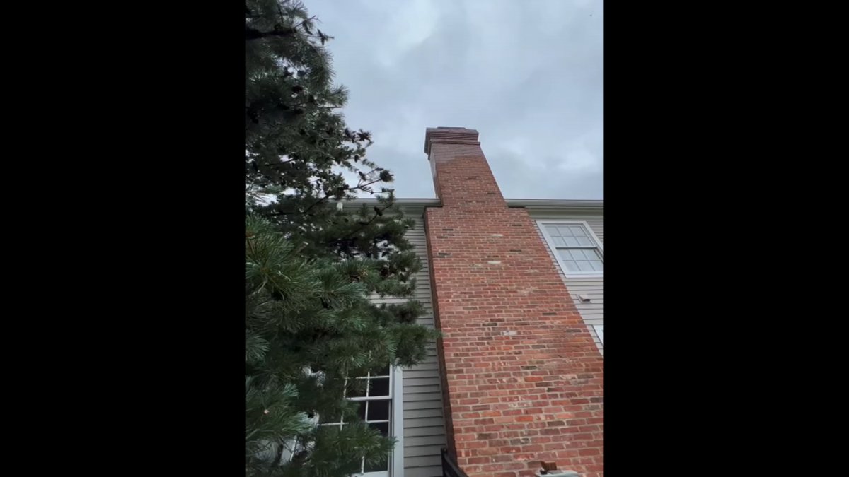 Avon woman finds bees in her bedroom wall – NBC Connecticut