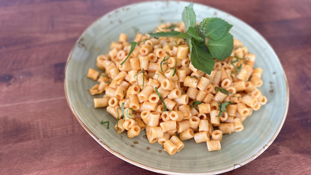 Creamy tomato pasta – NBC Connecticut