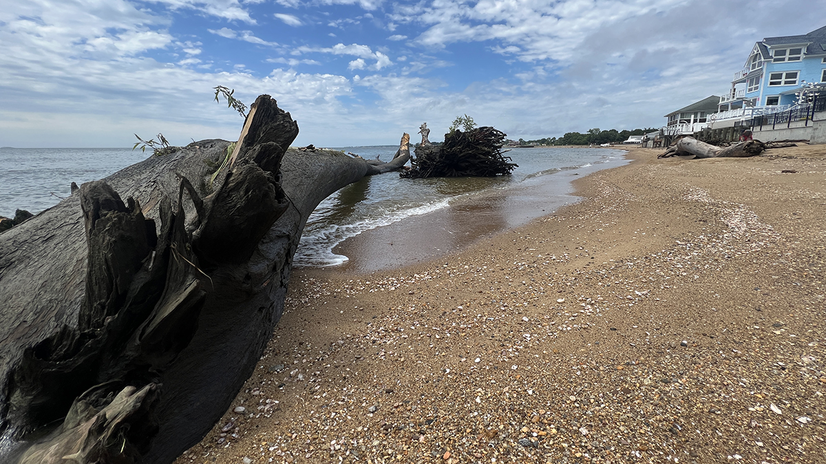 No swimming, boating allowed at Madison town beaches – NBC Connecticut