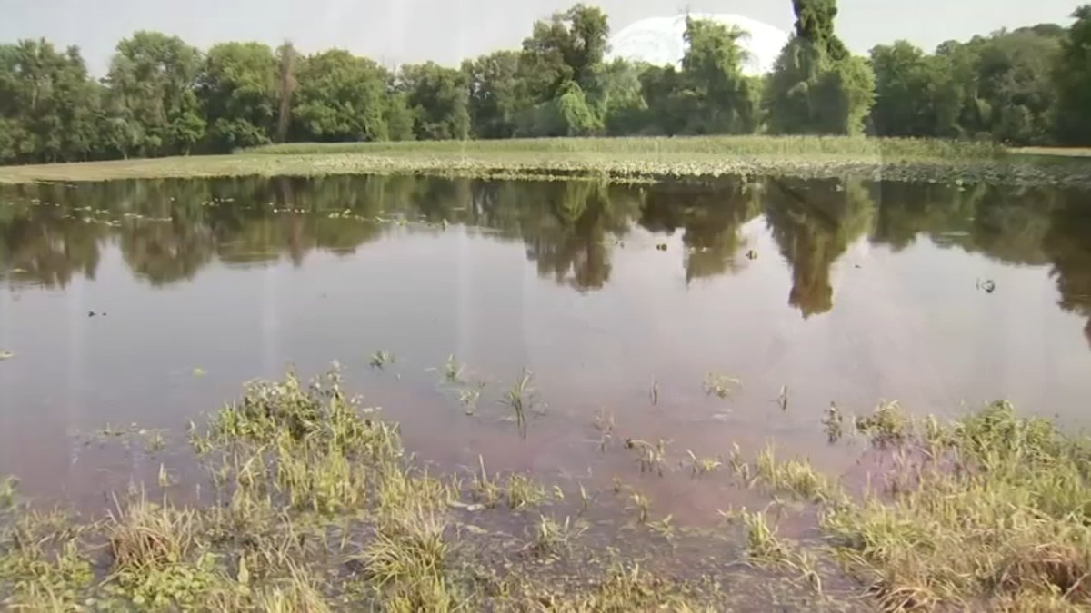 Flooding takes a toll on Connecticut farms – NBC Connecticut