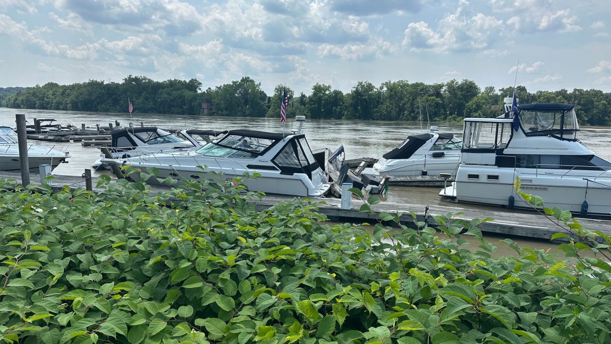Docks break away from marina due to flooding in Glastonbury – NBC ...