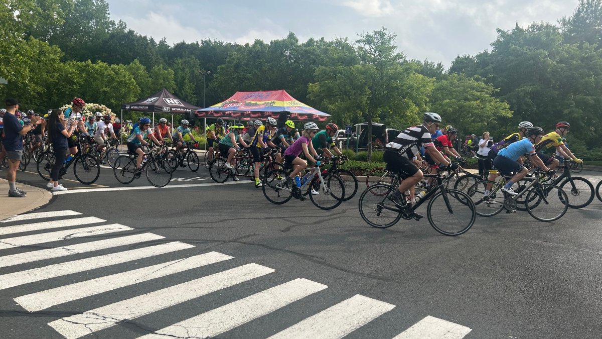 Nearly 1,000 participate in ERRACE Foundation in Connecticut – NBC ...