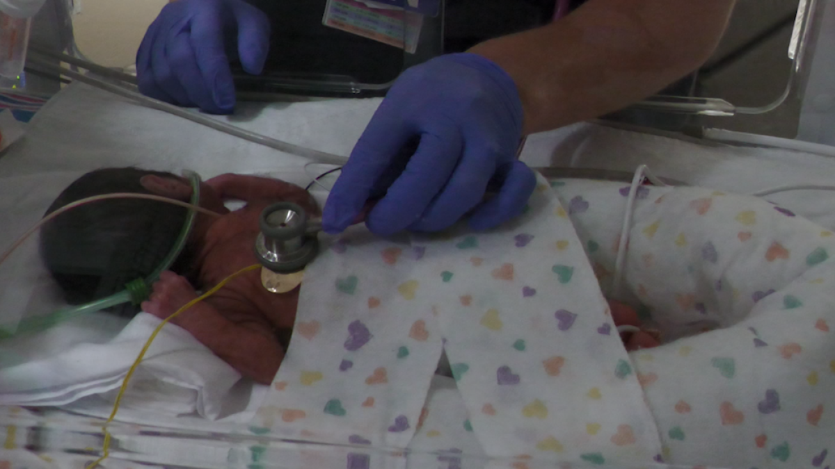 First babies are transferred into Stamford Health’s new NICU – NBC ...