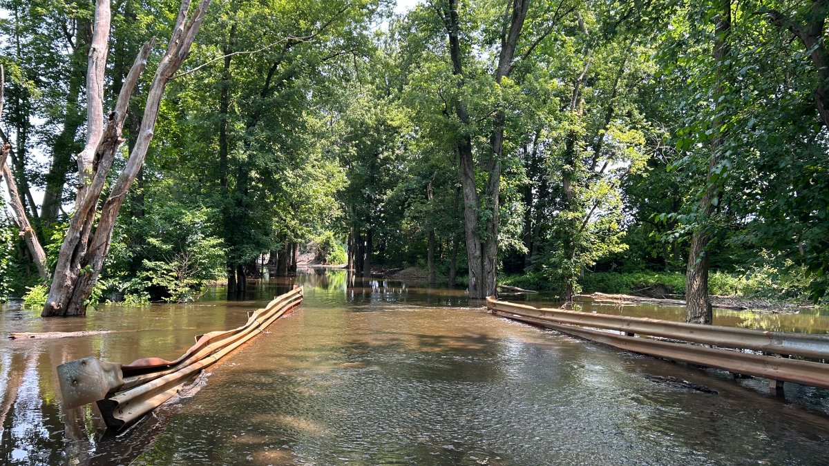 Farms along Connecticut River impacted by severe flooding – NBC Connecticut