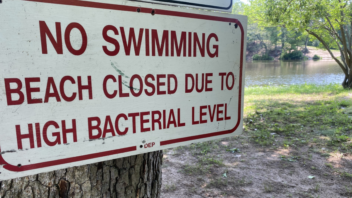 7 state swimming areas closed due to high bacteria levels – NBC Connecticut