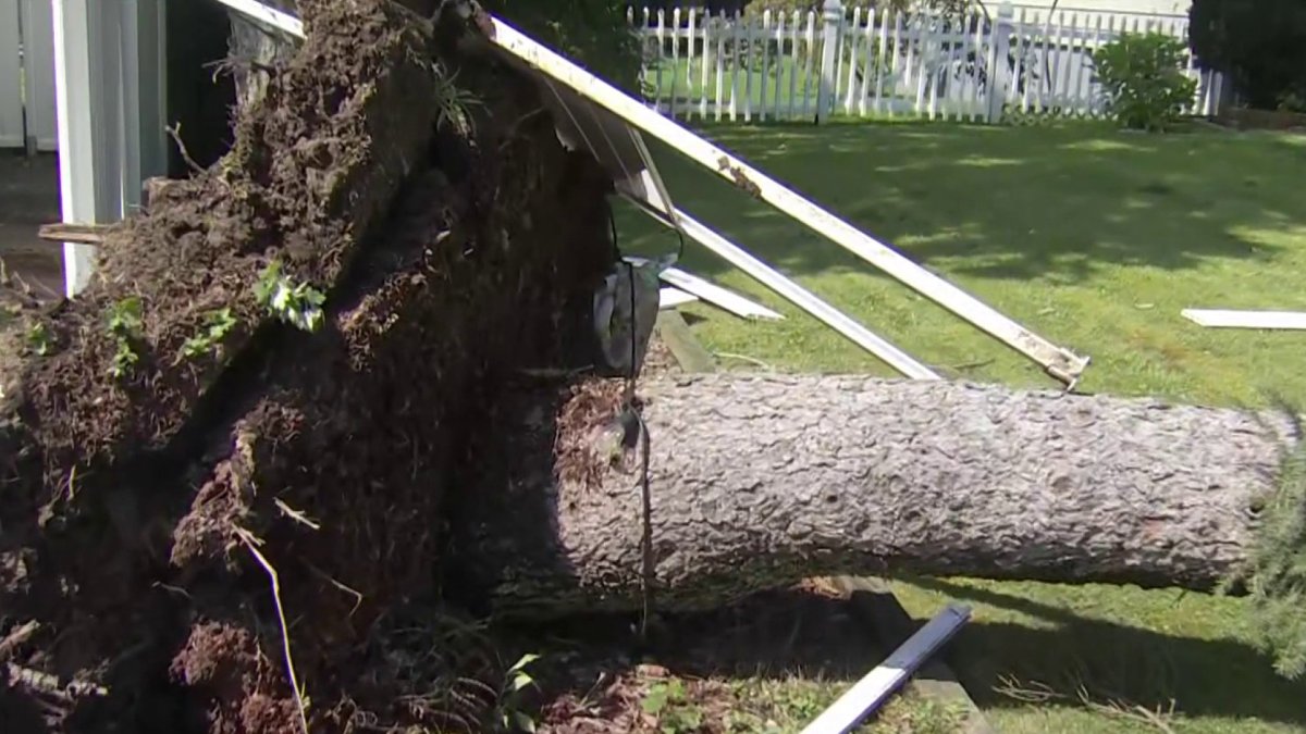 Storms cause damage in West Haven – NBC Connecticut