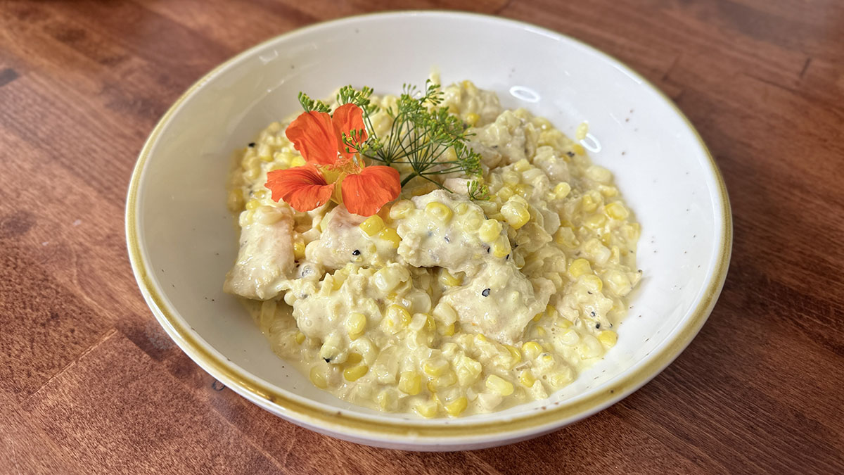 Creamed Corn & Chicken – NBC Connecticut