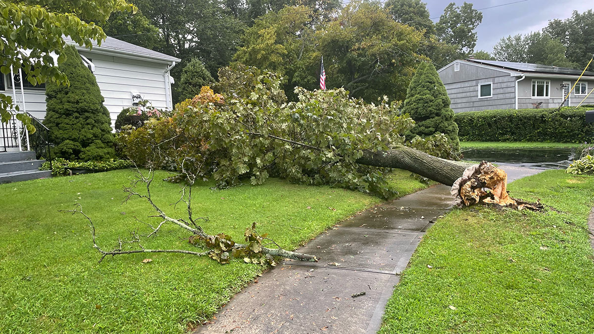 Storms bring down trees, flood roads and knock power out for thousands in parts of CT – NBC ...