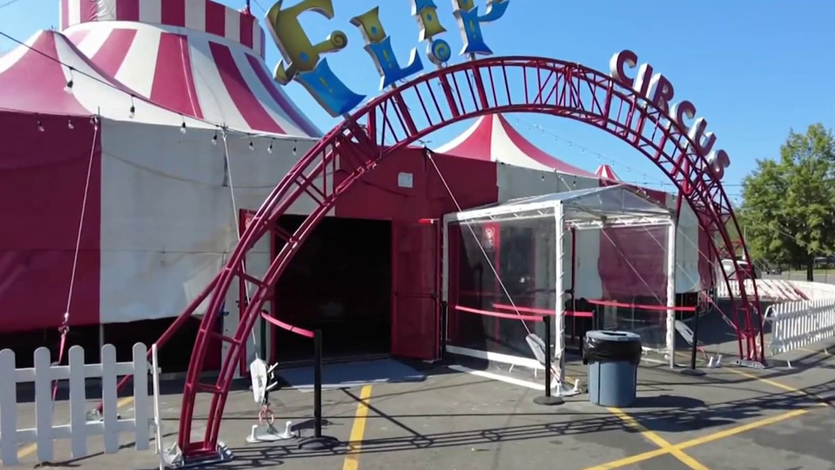 The circus is in town! – NBC Connecticut