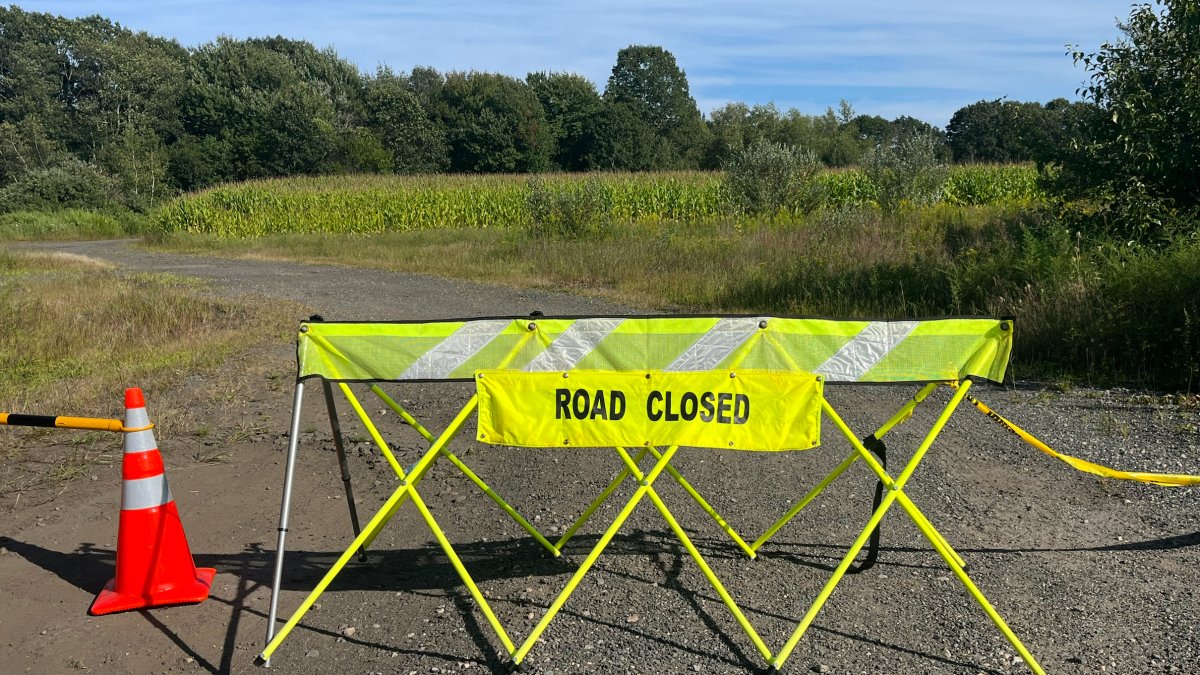 Plane makes emergency landing in cornfield in Burlington – NBC Connecticut
