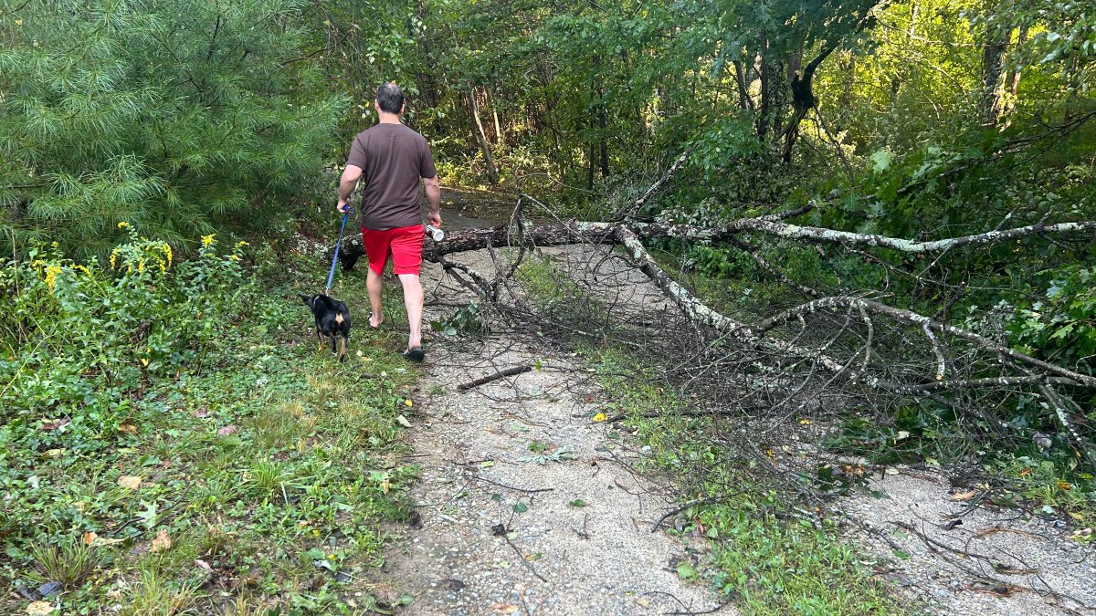 Killingly town manager says, ‘no substantial damage’ after tornado ...